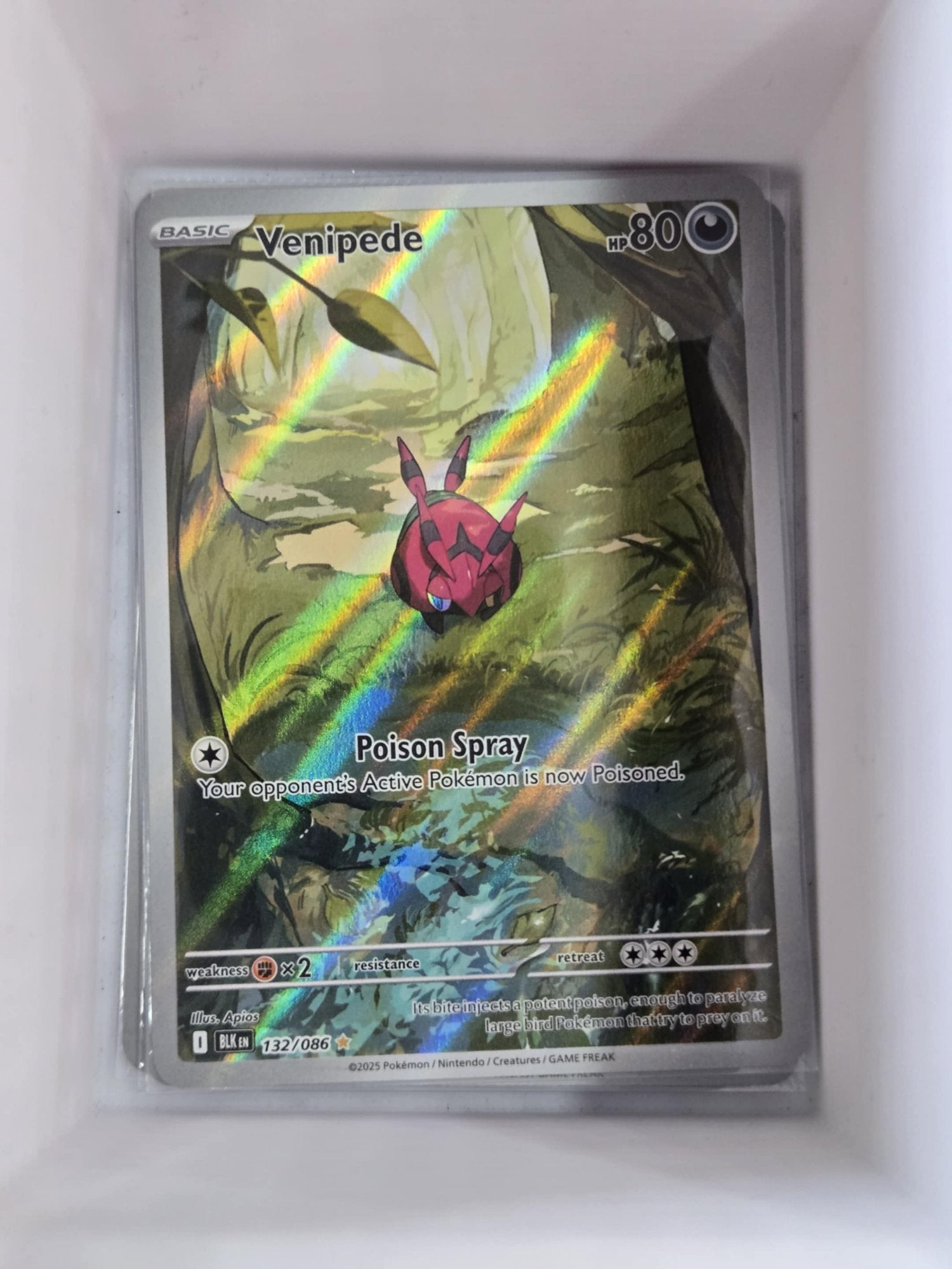 Venipede Black Bolt - 132 - Scarlet and Violet Pokemon PCL – Pop ...