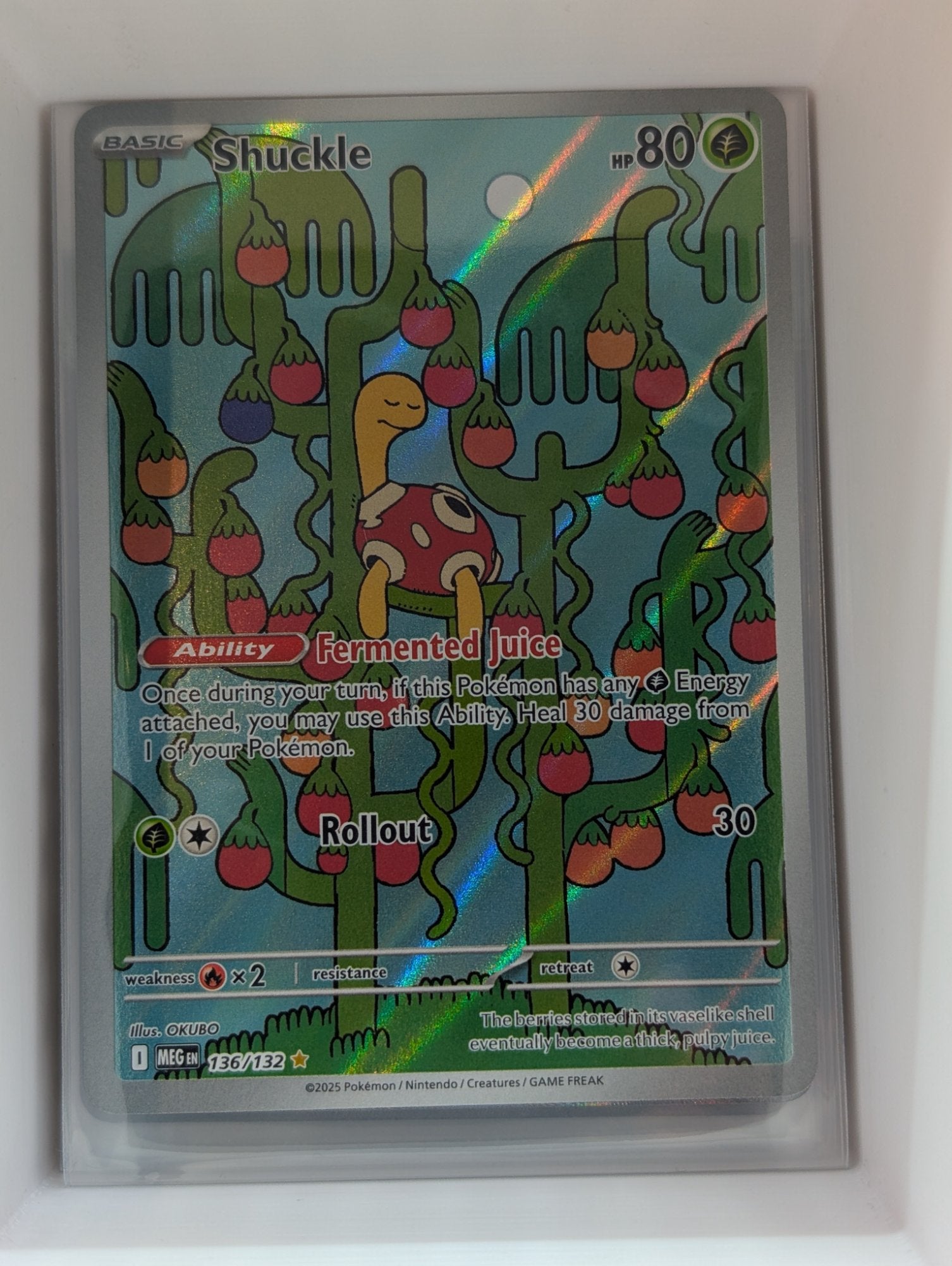 Shuckle - Mega Evolution - 136 - Non-Foil PCL – Pop Culture Larrikin